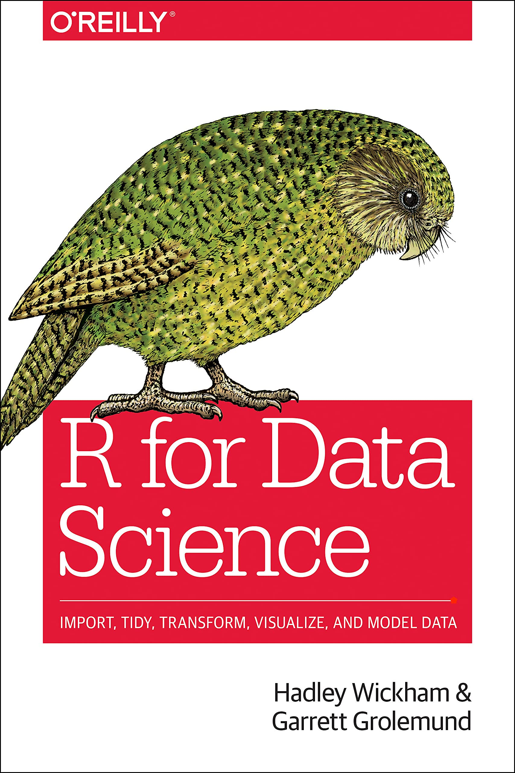 R for Data Science: Import, Tidy, Transform & Visualize Data